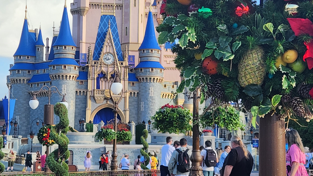 Insider Tips for Surviving Holiday Crowds at Disney World - DizN ...