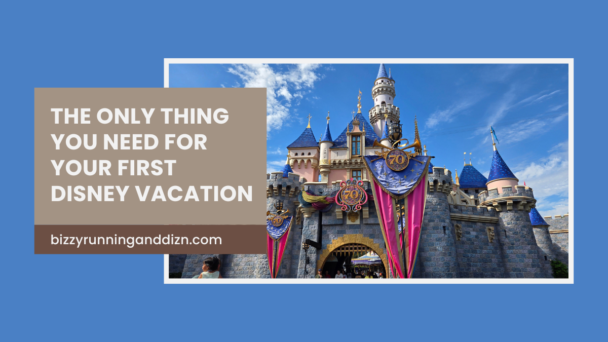 The Only Thing You Need to Know Before Your First Disney Trip - DizN ...